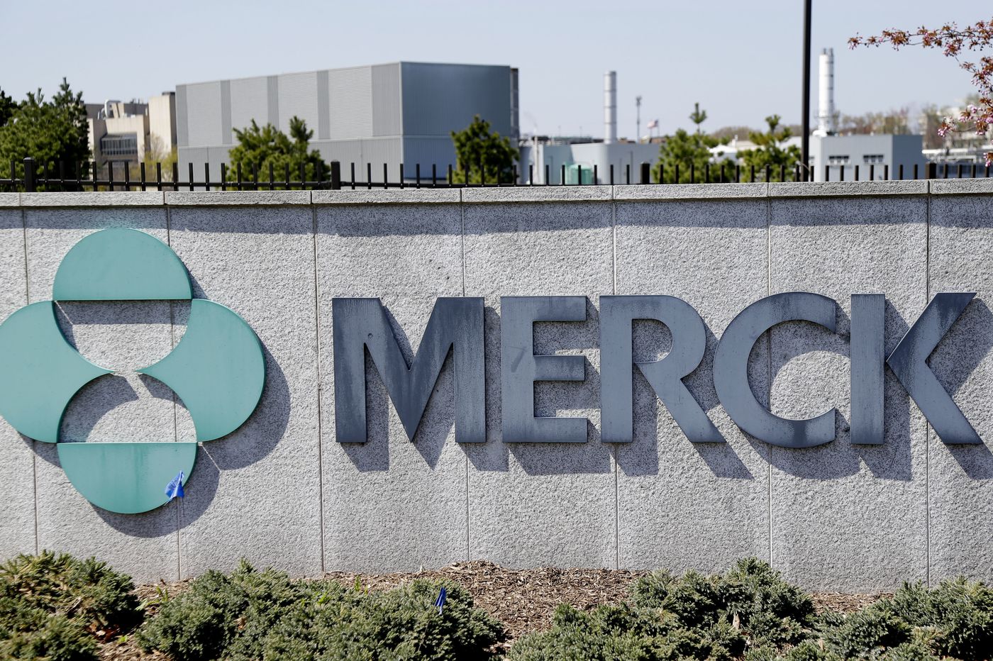 Merck & Co to Buy $1B Stake in Seattle Genetics - Wall Street Nation